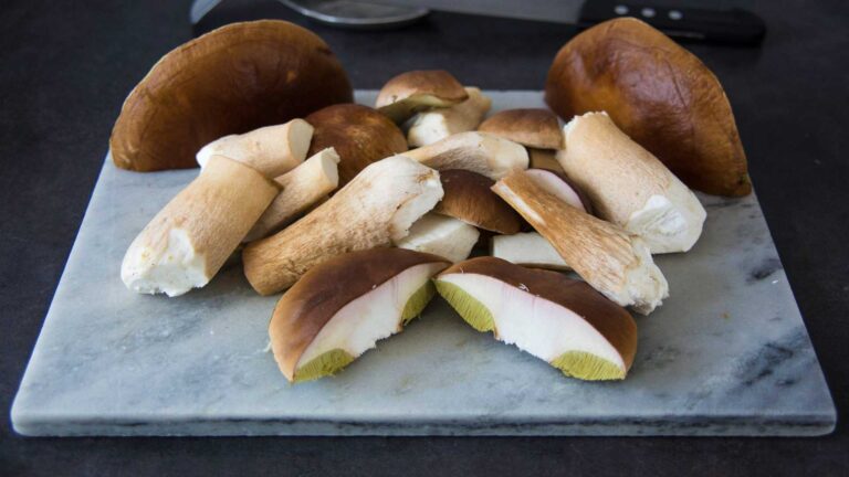 Funghi porcini: come riconoscerli e cucinarli al meglio - Viaggio e ...